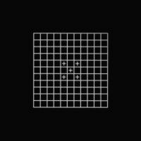 ARGO-SIM结构光照明显微镜标准载玻片 - 北京鼎信优威光子科技有限公司