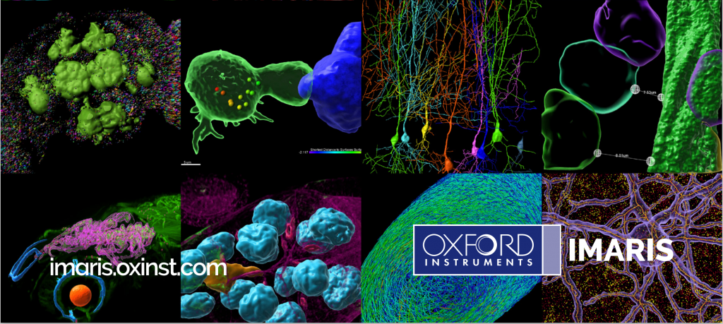 Imaris 图像分析软件 - 北京鼎信优威光子科技有限公司